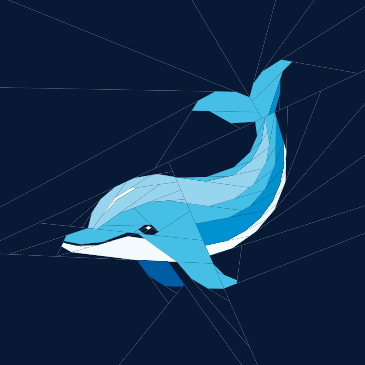 Dolphin Quilt Pattern for beginner – Modern Quilt Patterns
